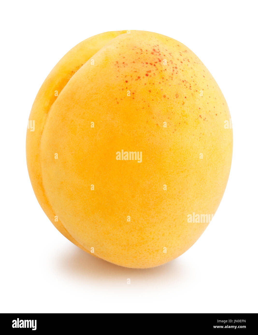 yellow apricot path isolated Stock Photo - Alamy