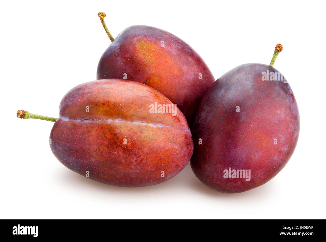 red plums path isolated Stock Photo - Alamy