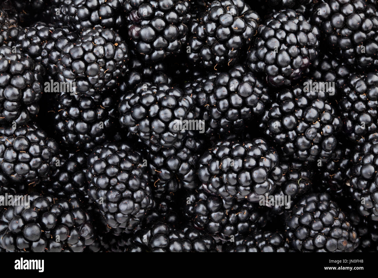 Blackberry texture hi-res stock photography and images - Alamy