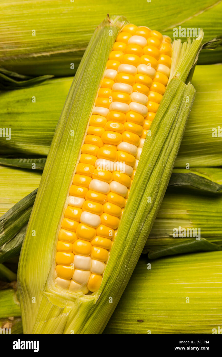 corn on cob partial husk Stock Photo - Alamy