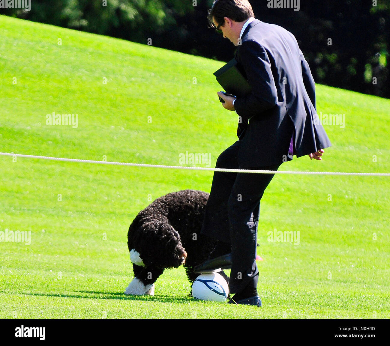 Bo, the Obama family dog, plays Soccer with Alan Fitts, Deputy Director ...