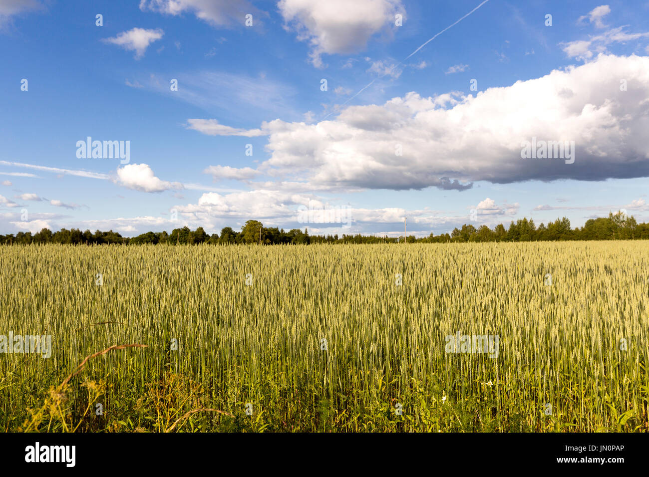 Beautiful scene landscape view hi-res stock photography and images - Alamy