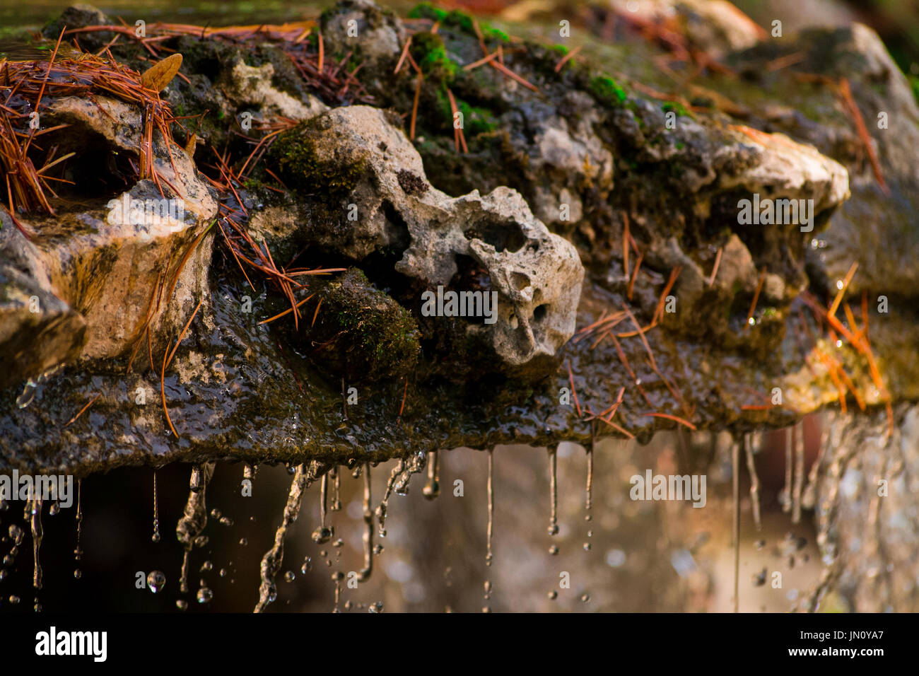 Water dribble hi-res stock photography and images - Alamy
