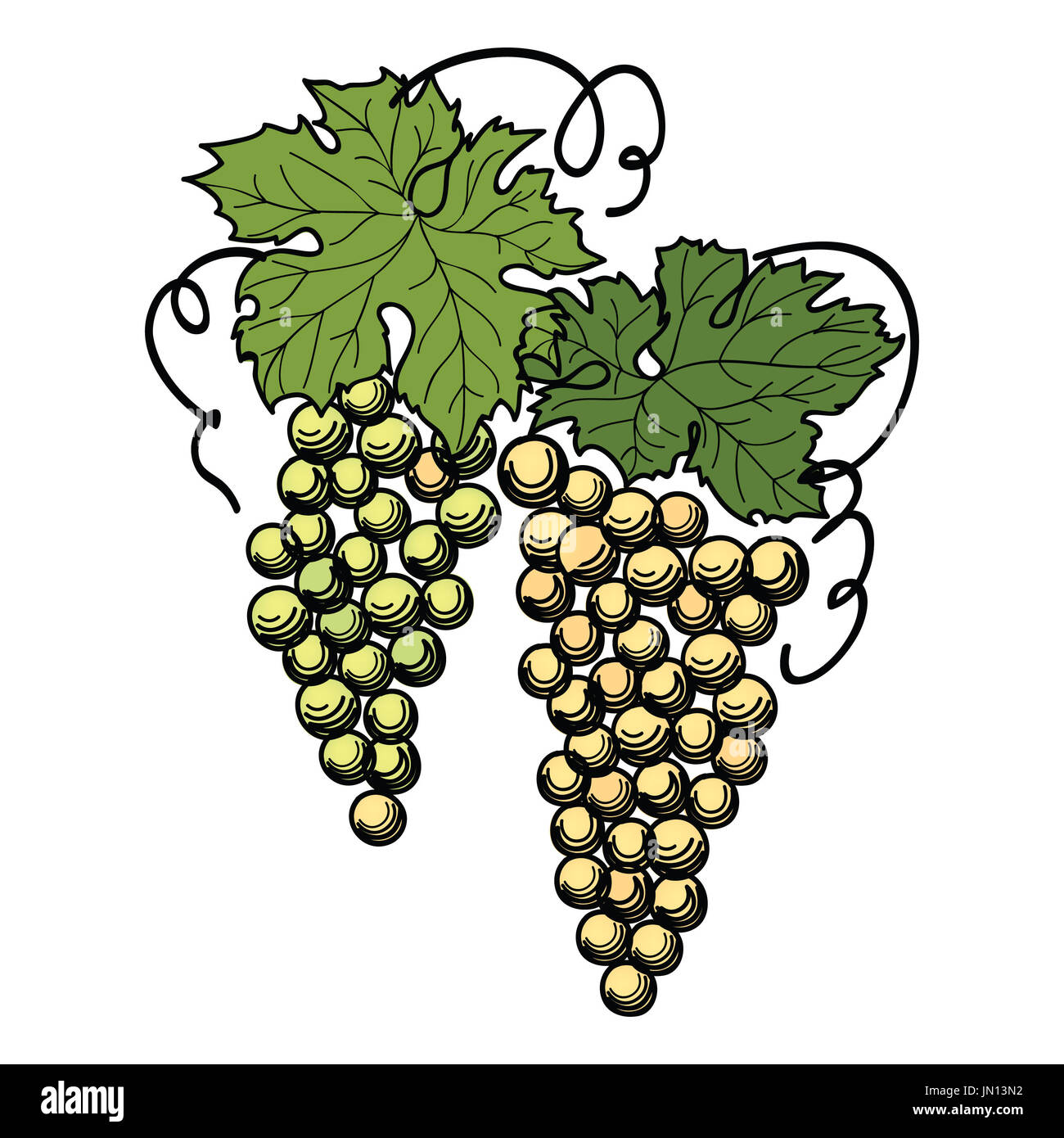 Roman Grapes Vine Border Corners