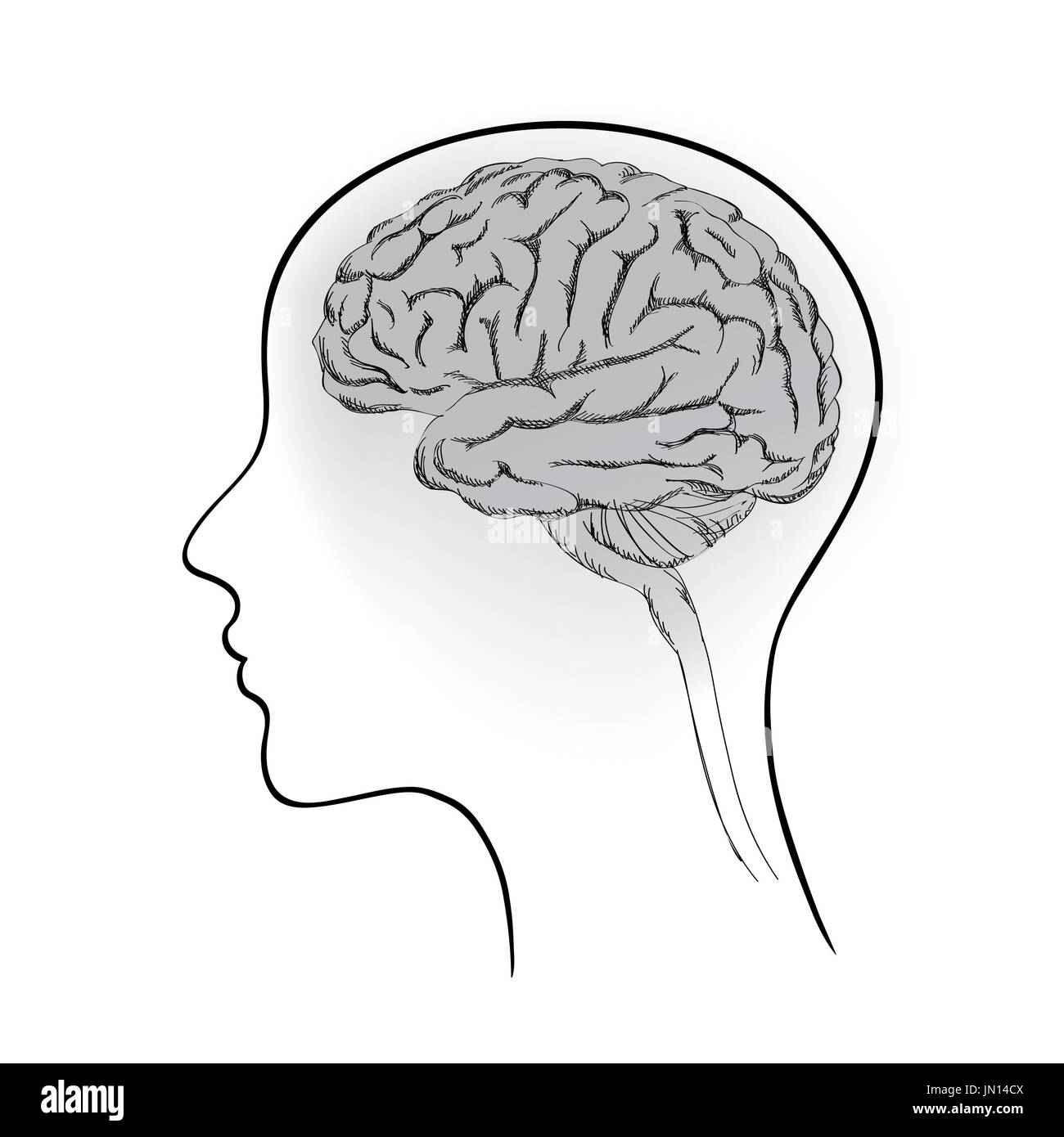 Female brain. Think icon concept. Vector sketch illustration Stock ...