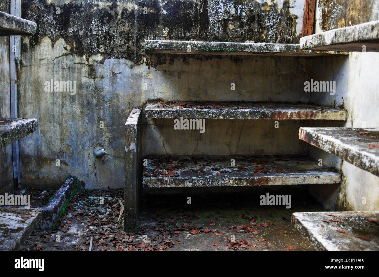 images from the old coiba island prision in Panama Stock Photo - Alamy