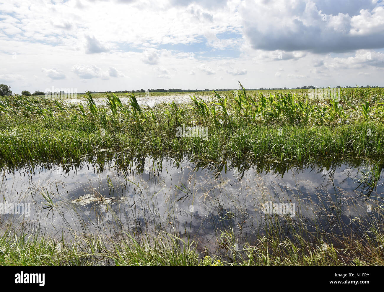 Flooded drainage ditch hi-res stock photography and images - Alamy