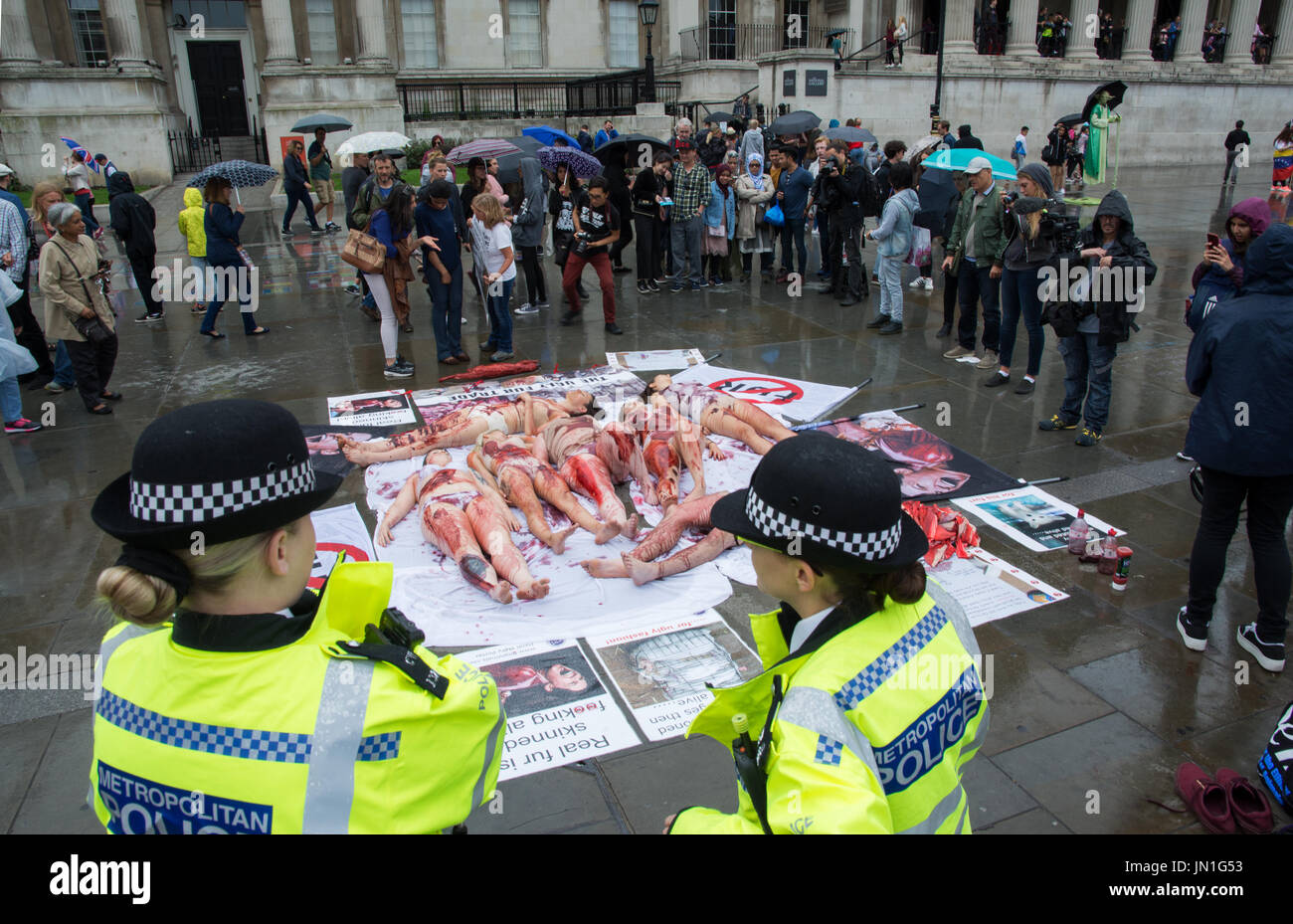Human Carcasses High Resolution Stock Photography and Images - Alamy
