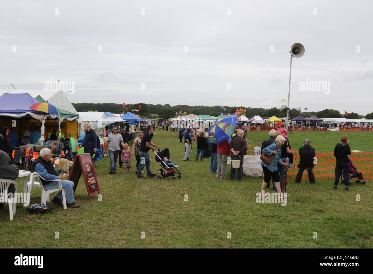 People visiting Ringmer Steam and Country Show 2017 Stock Photo - Alamy