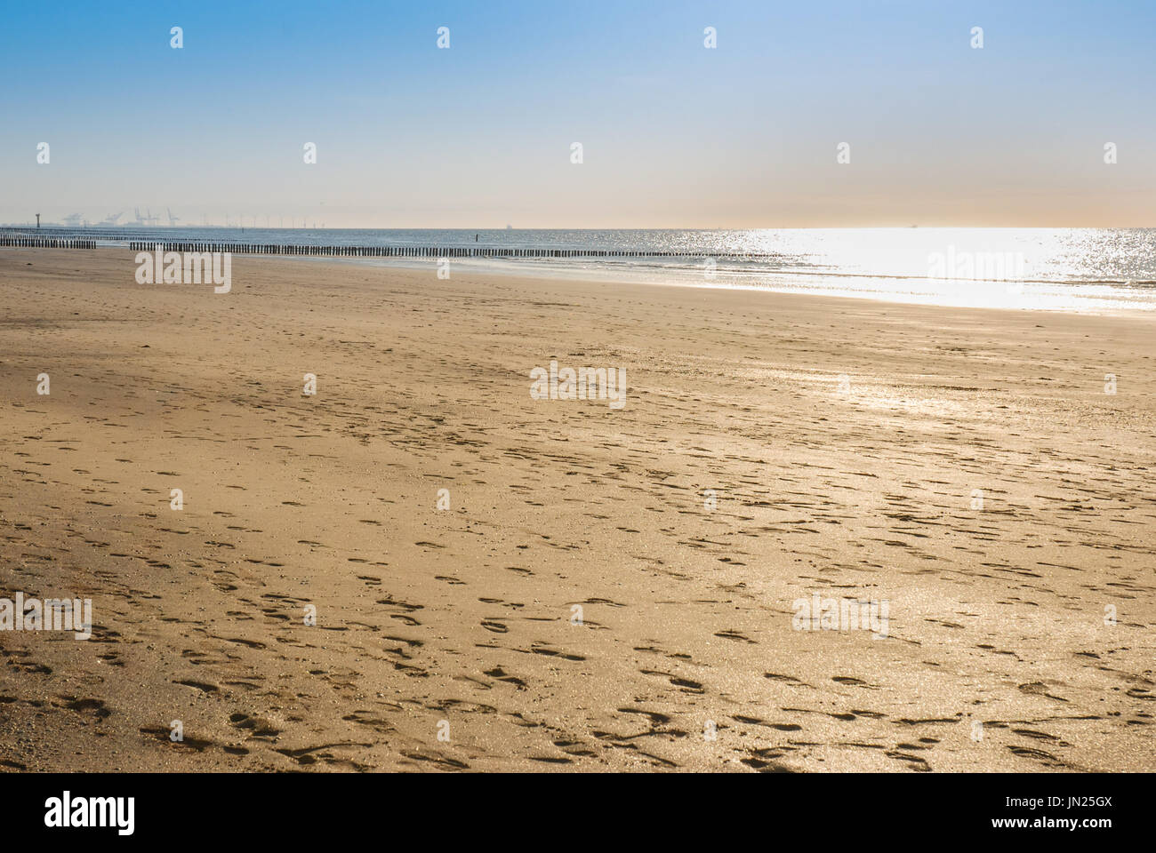empty cadzand beach at the evening, reflection from the sun on the ...