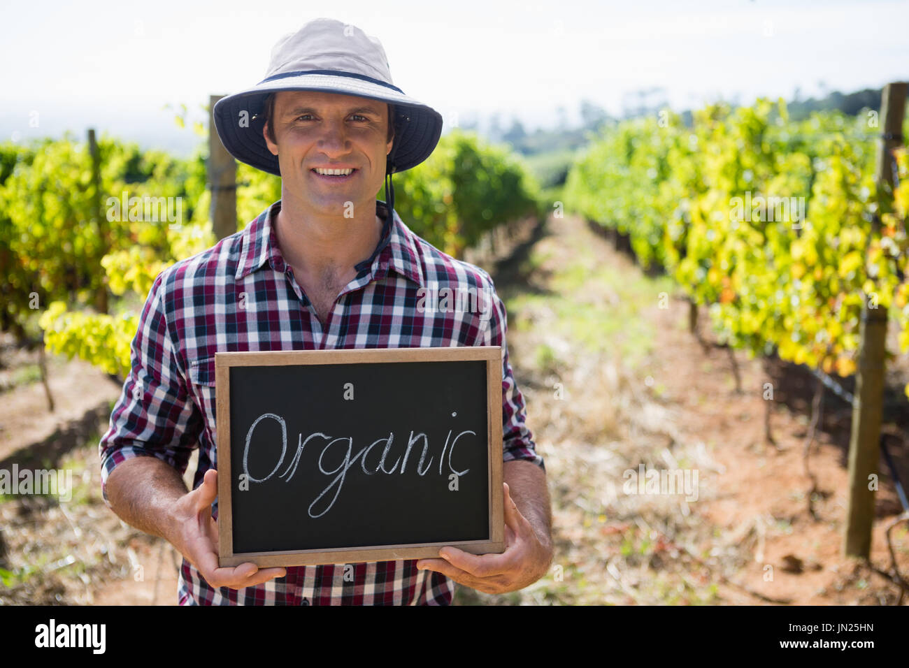 Portrait of happy man holding slate with text in vineyard on a sunny ...