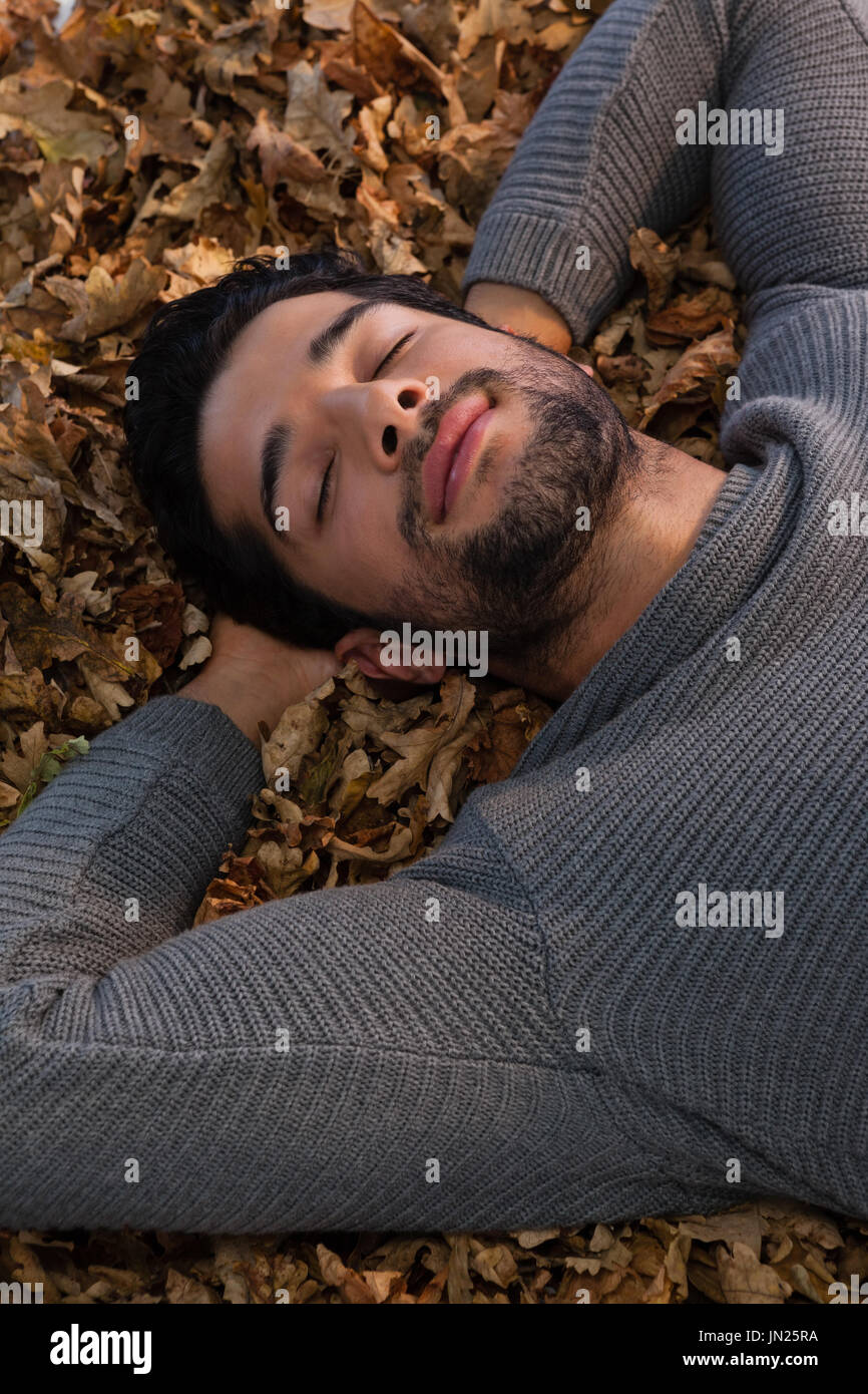 Overhead of man sleeping on autumn leaves Stock Photo - Alamy