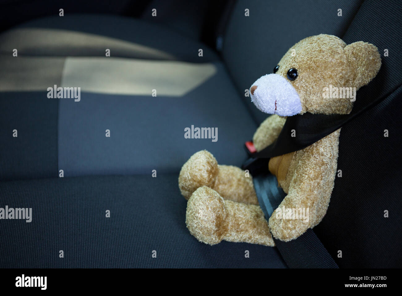 Teddy bear in car hi-res stock photography and images - Alamy