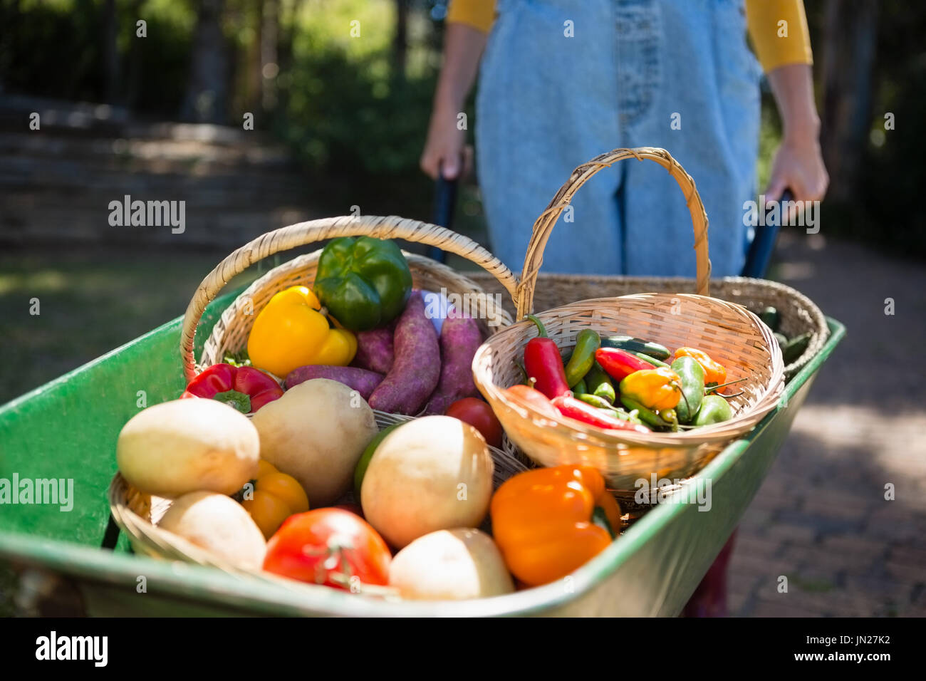 Close-up of various fresh vegetables in wheelbarrow Stock Photo - Alamy