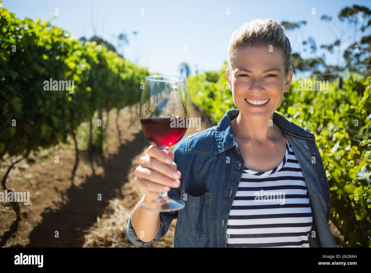 Portrait of female vintner holding glass of wine in vineyard Stock ...