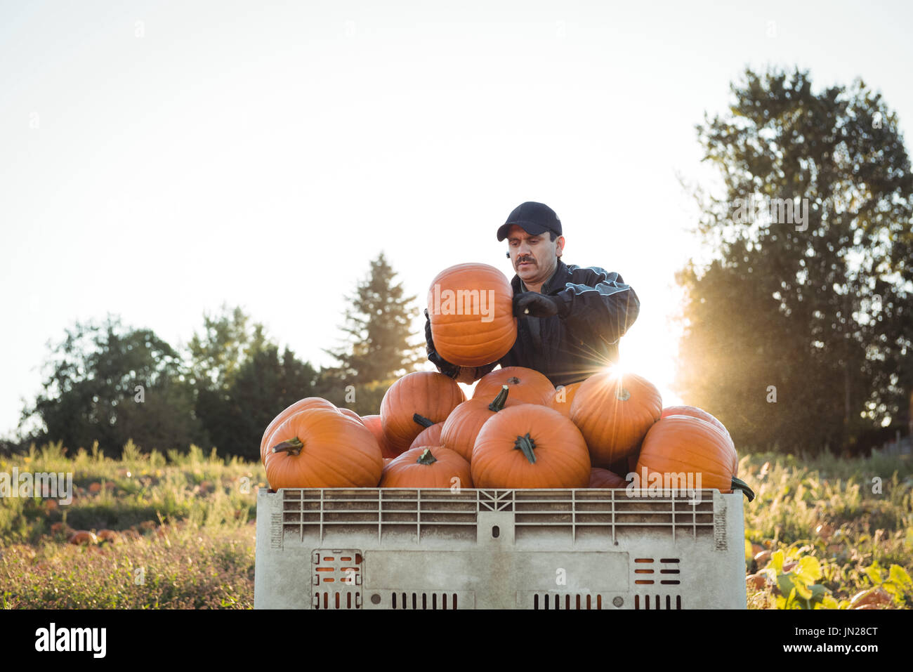 Farmers working the land hi-res stock photography and images - Alamy