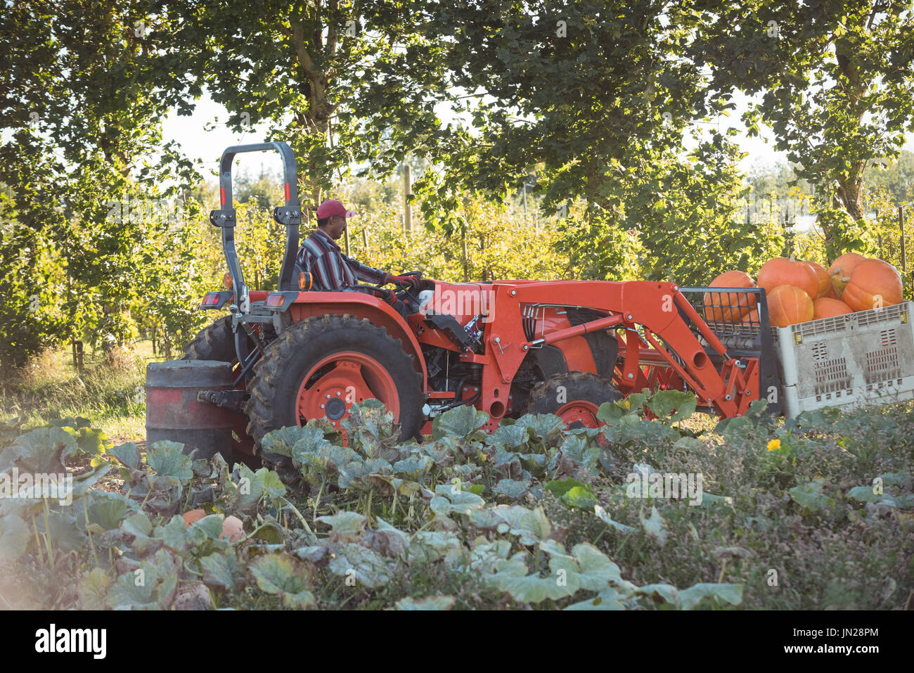 Tractor with container on a field hi-res stock photography and images ...