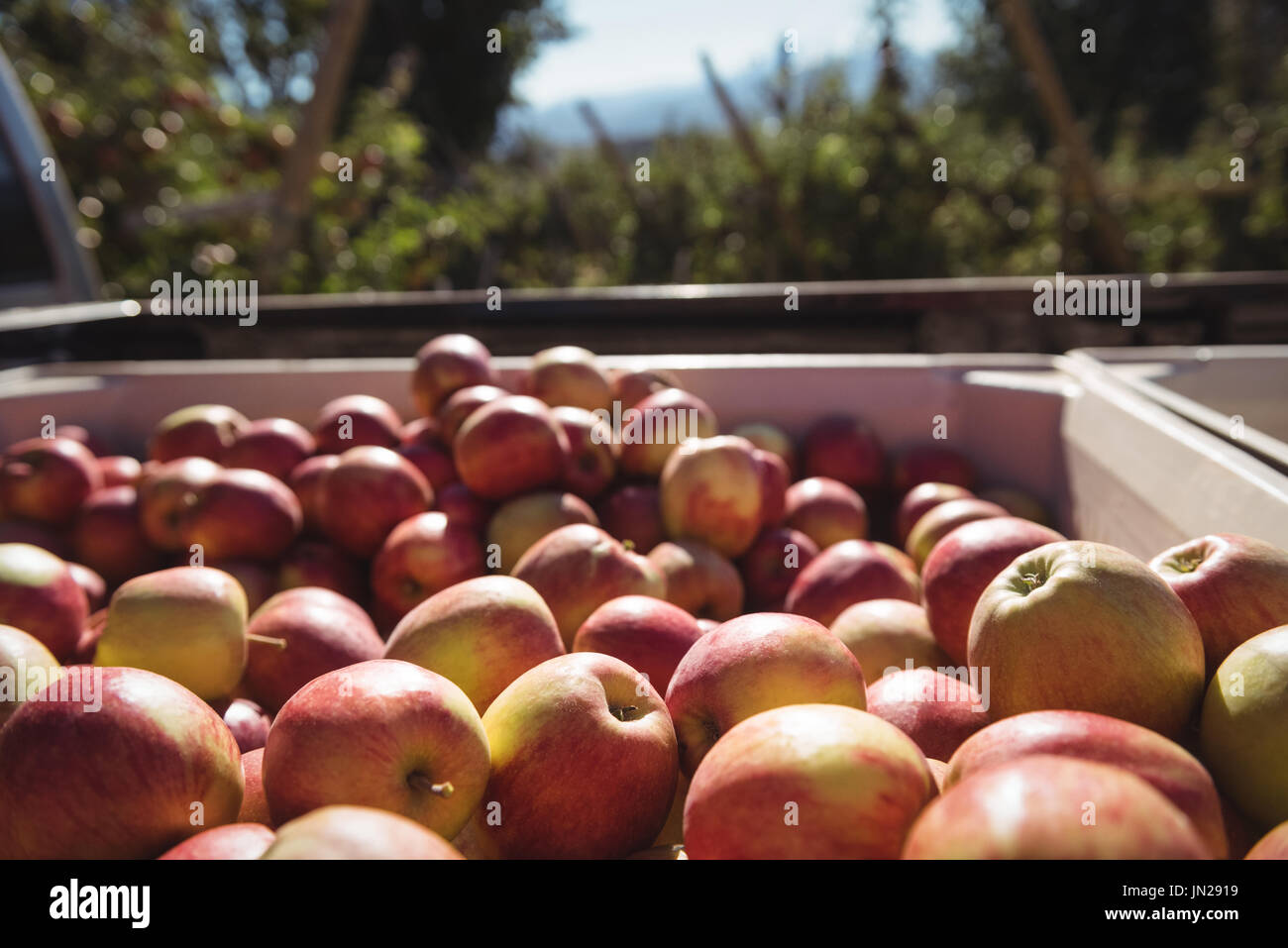 Apple truck hi-res stock photography and images - Alamy