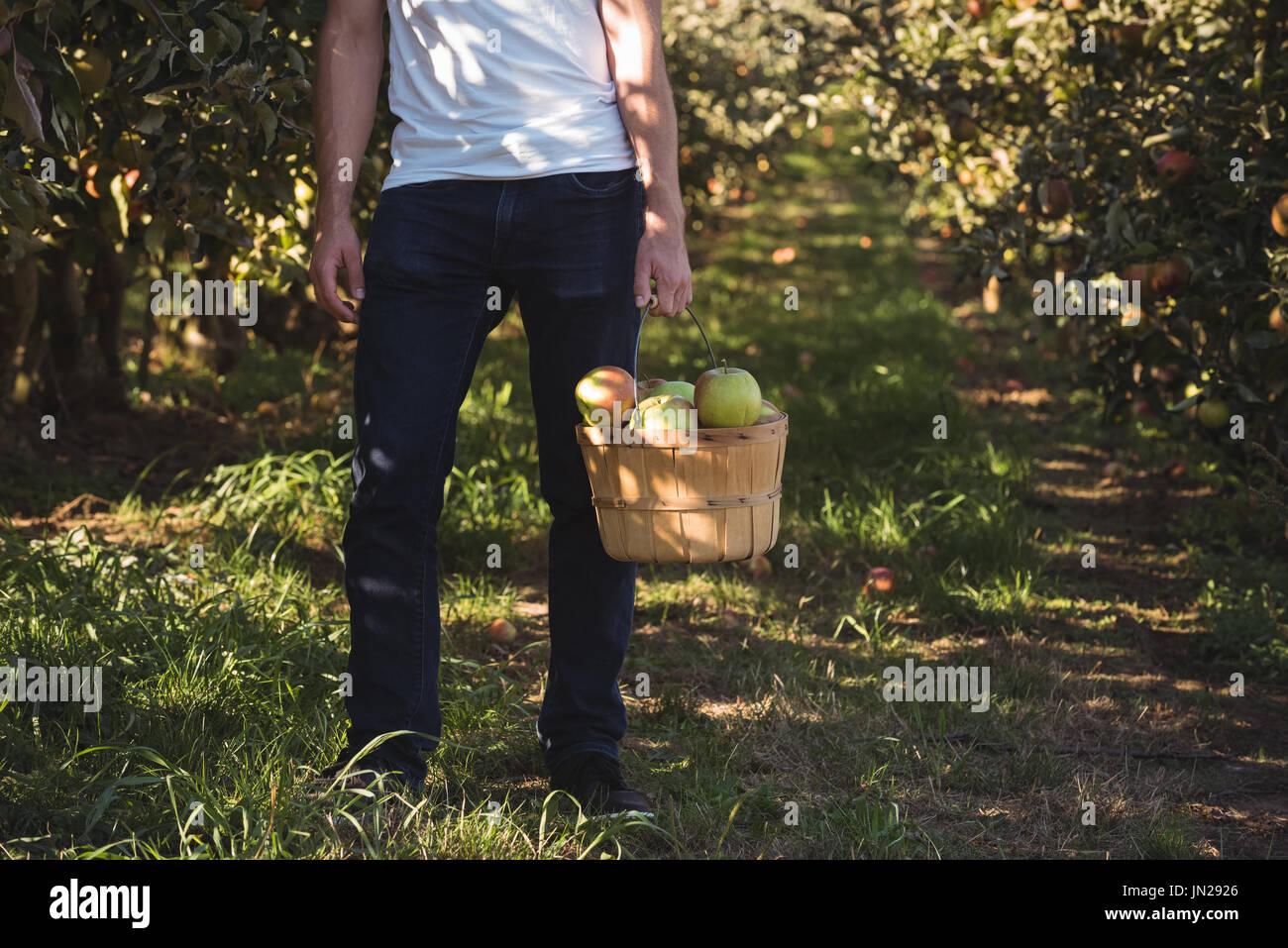 Man carrying bucket farm hi-res stock photography and images - Alamy
