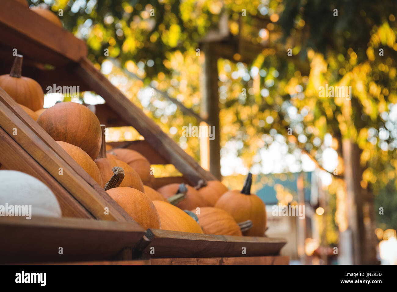 Sale of pumpkins hi-res stock photography and images - Alamy