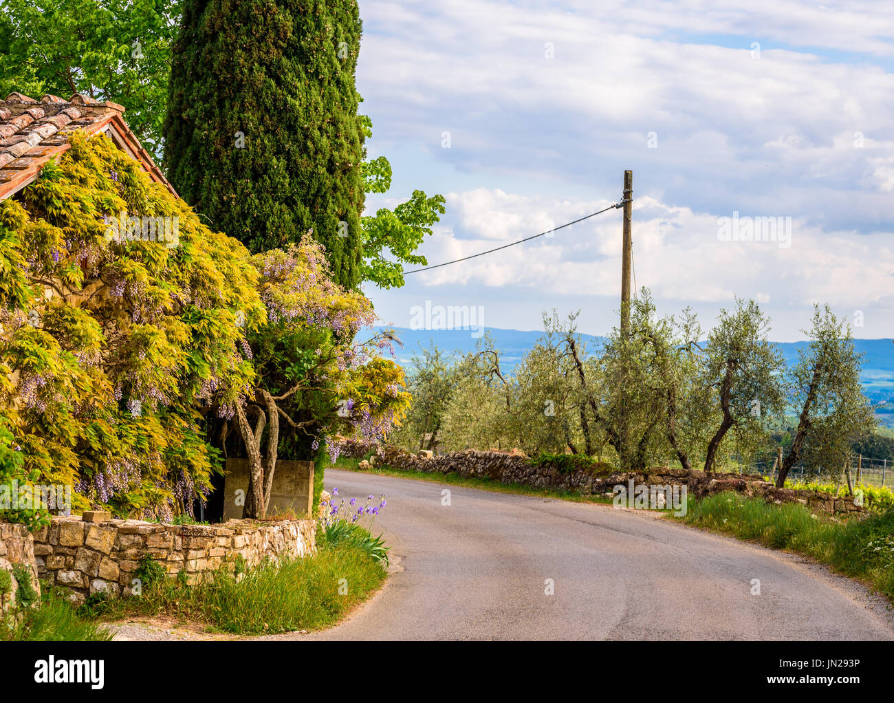Olive trees vineyards tuscan countryside hi-res stock photography and ...