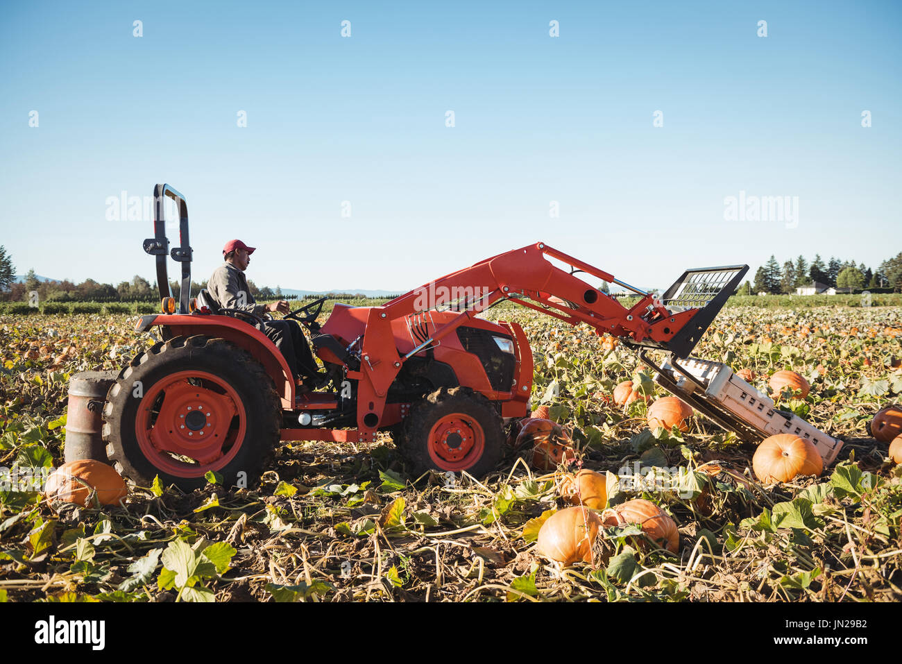 Driving pumpkin hi-res stock photography and images - Alamy