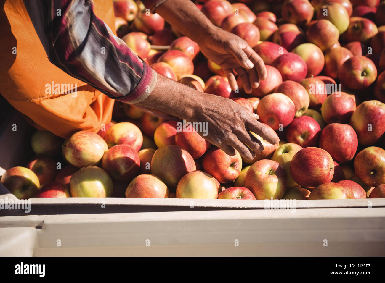 Farmer loading hi-res stock photography and images - Alamy