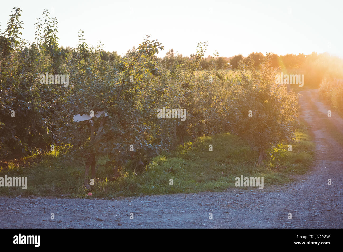 View empty path field hi-res stock photography and images - Alamy