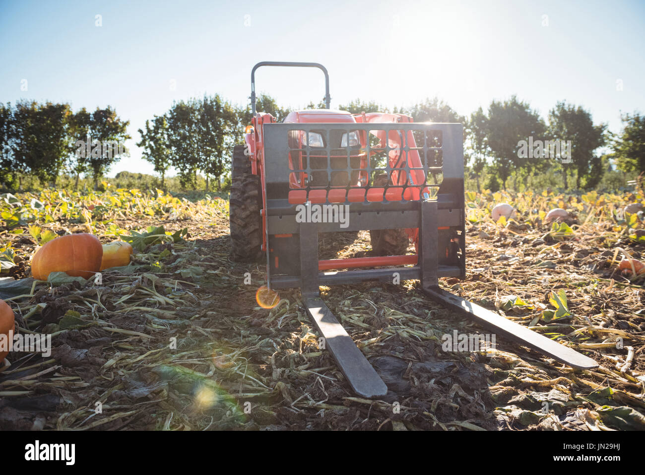 Pumpkin on tractor hi-res stock photography and images - Alamy