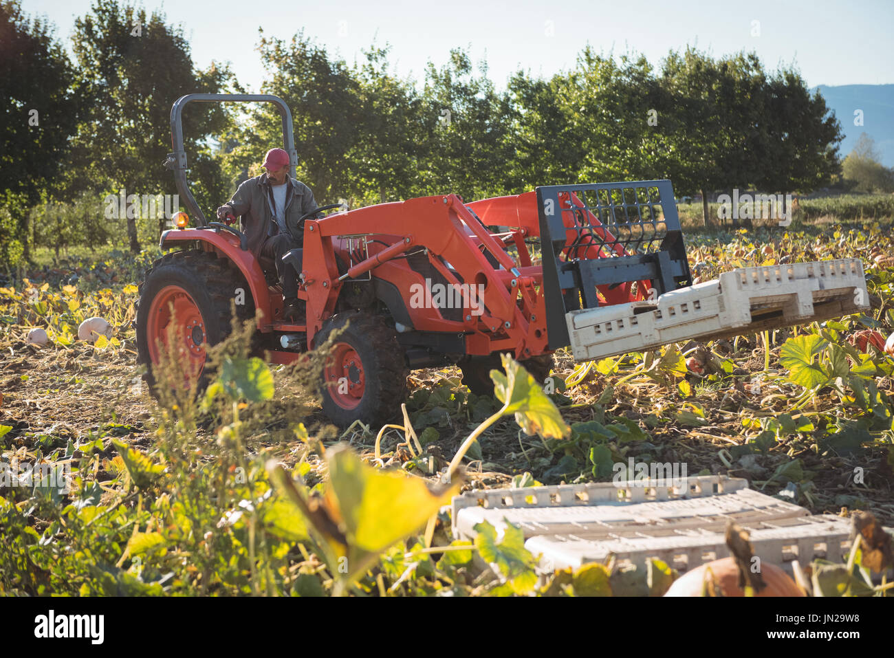 Tractor pumpkin hi-res stock photography and images - Alamy