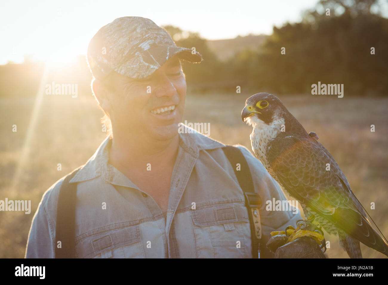 Smiling falconer looking at sparrowhawk perching on hand Stock Photo ...