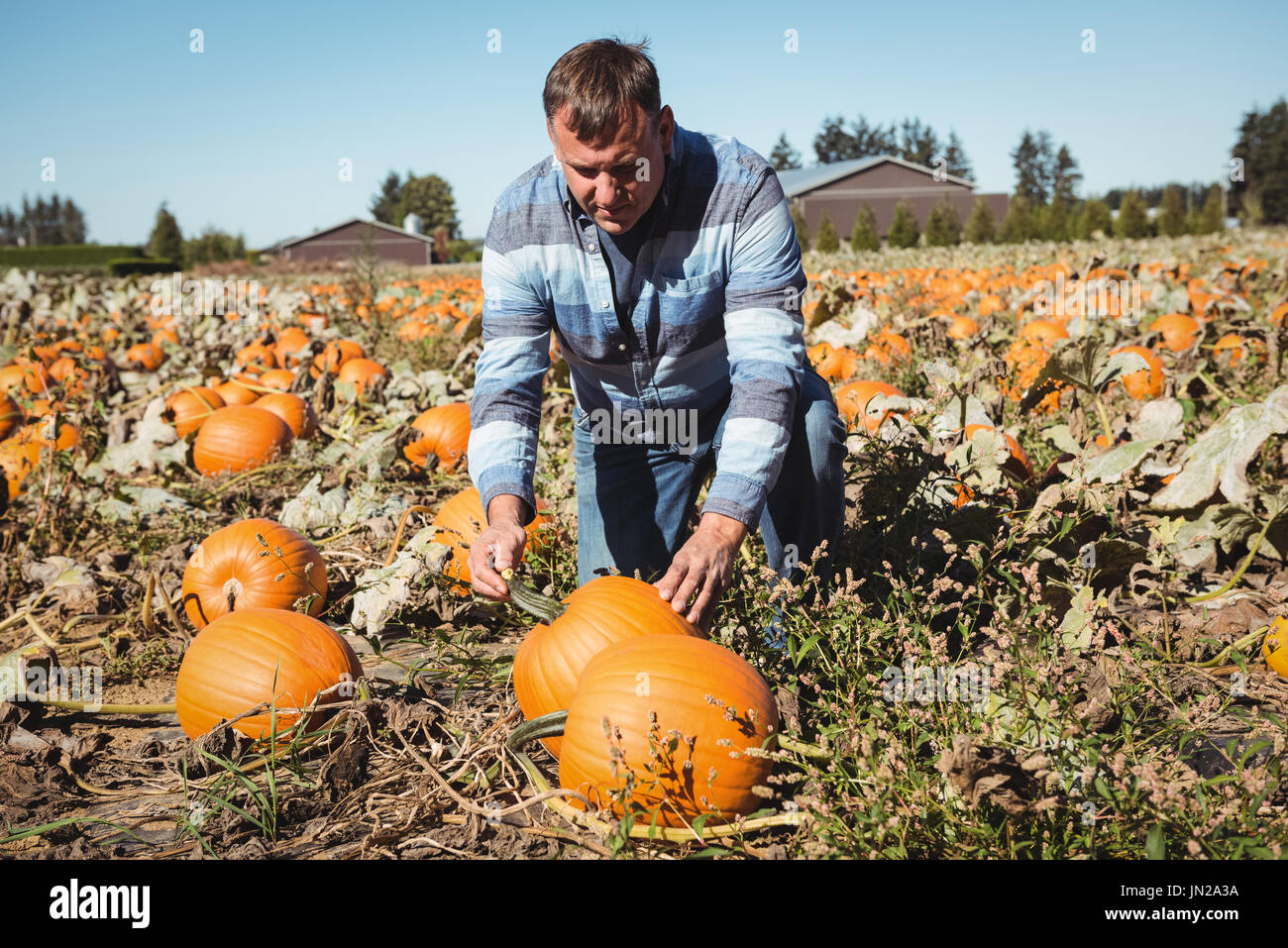 Farmer working hi-res stock photography and images - Alamy