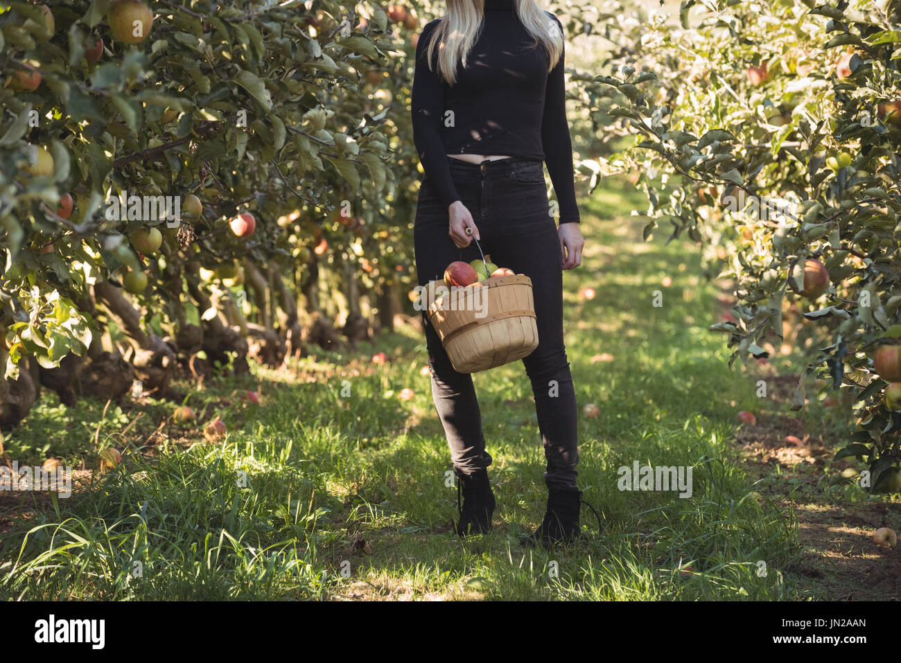 Summer fruit collecting hi-res stock photography and images - Alamy