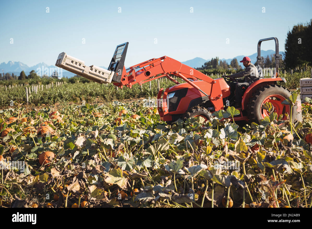 Tractor pumpkin hi-res stock photography and images - Alamy