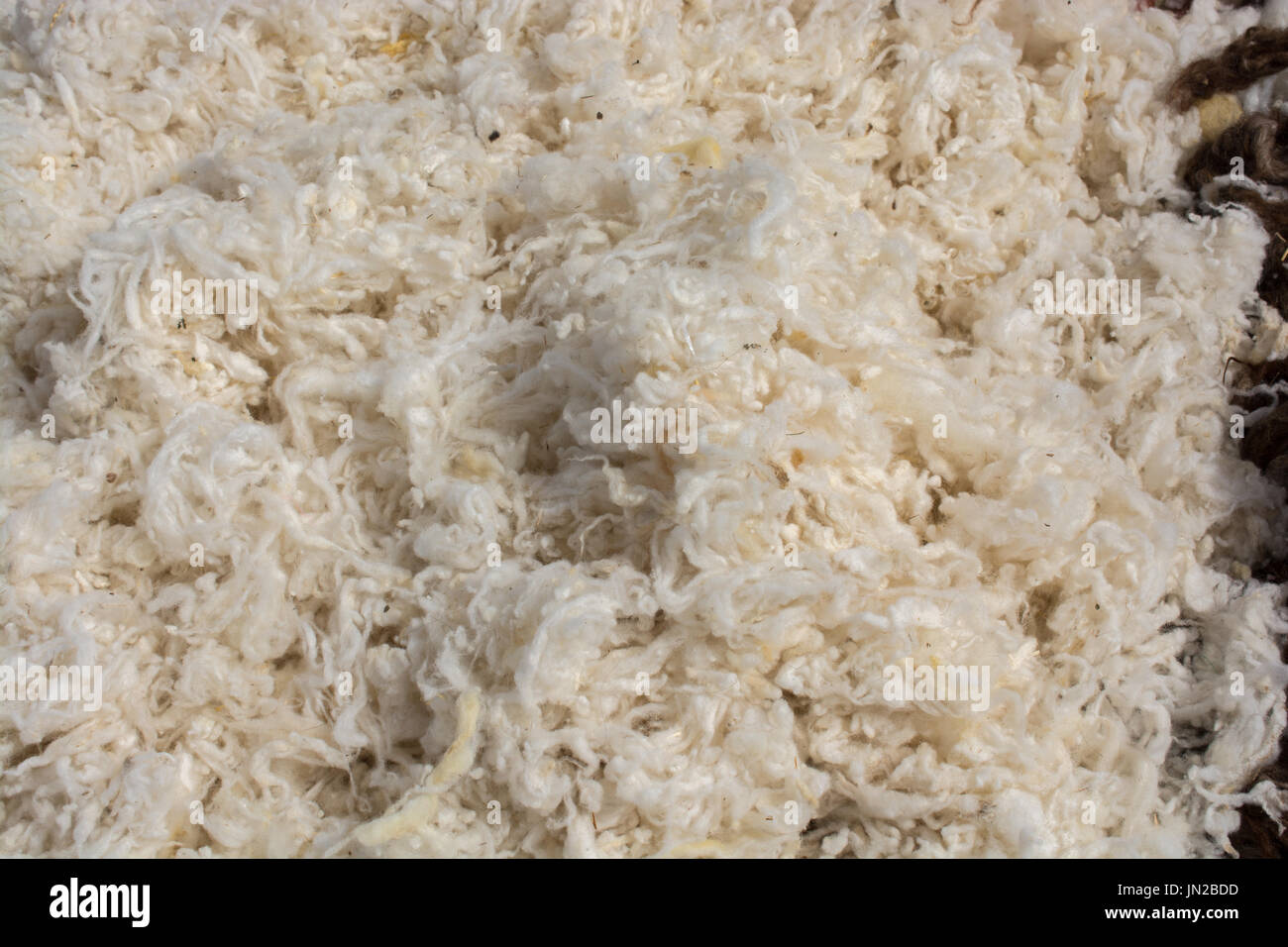 Heap of wool as a texture background Stock Photo - Alamy