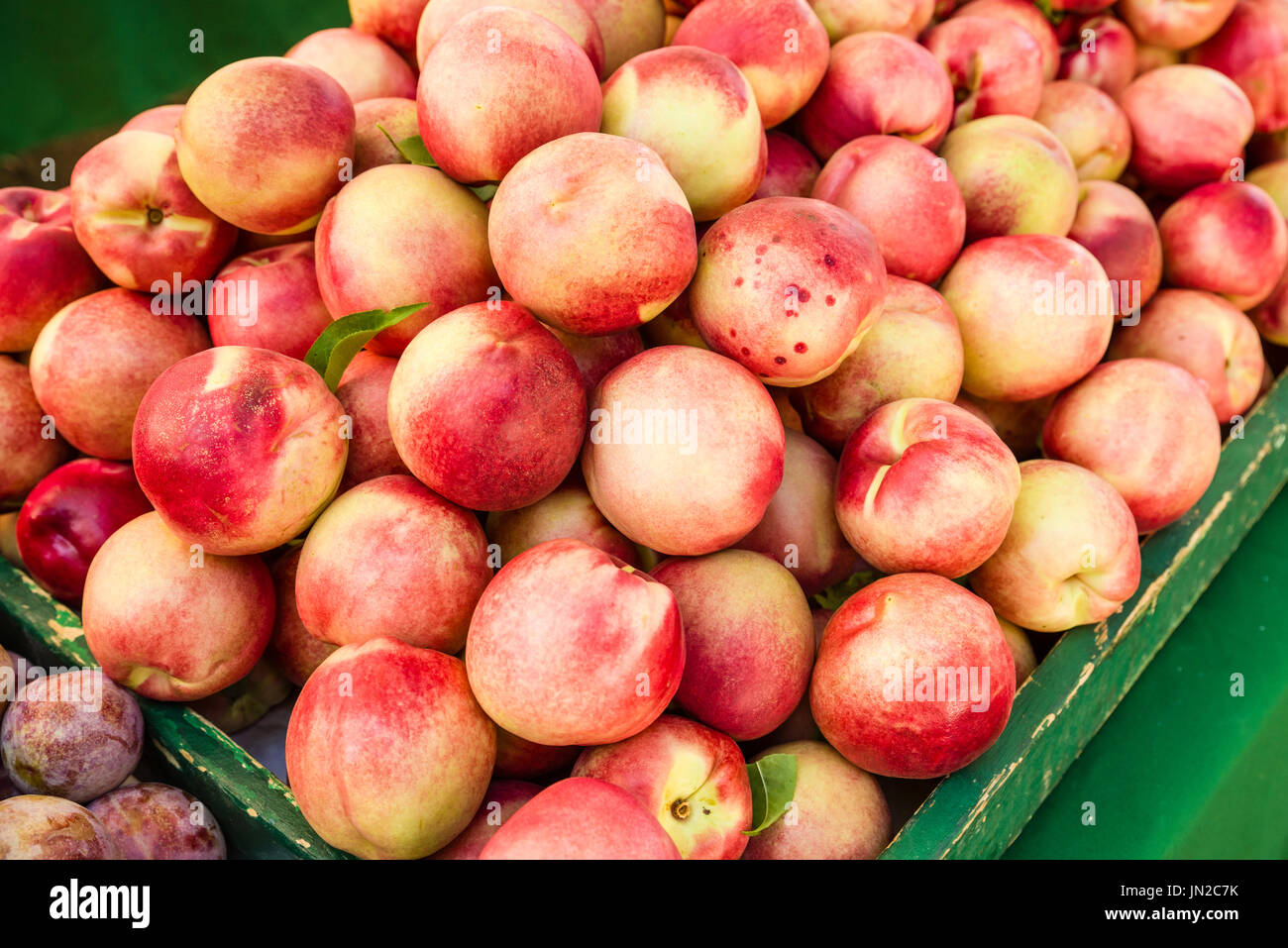 Nectarine harvest hi-res stock photography and images - Alamy
