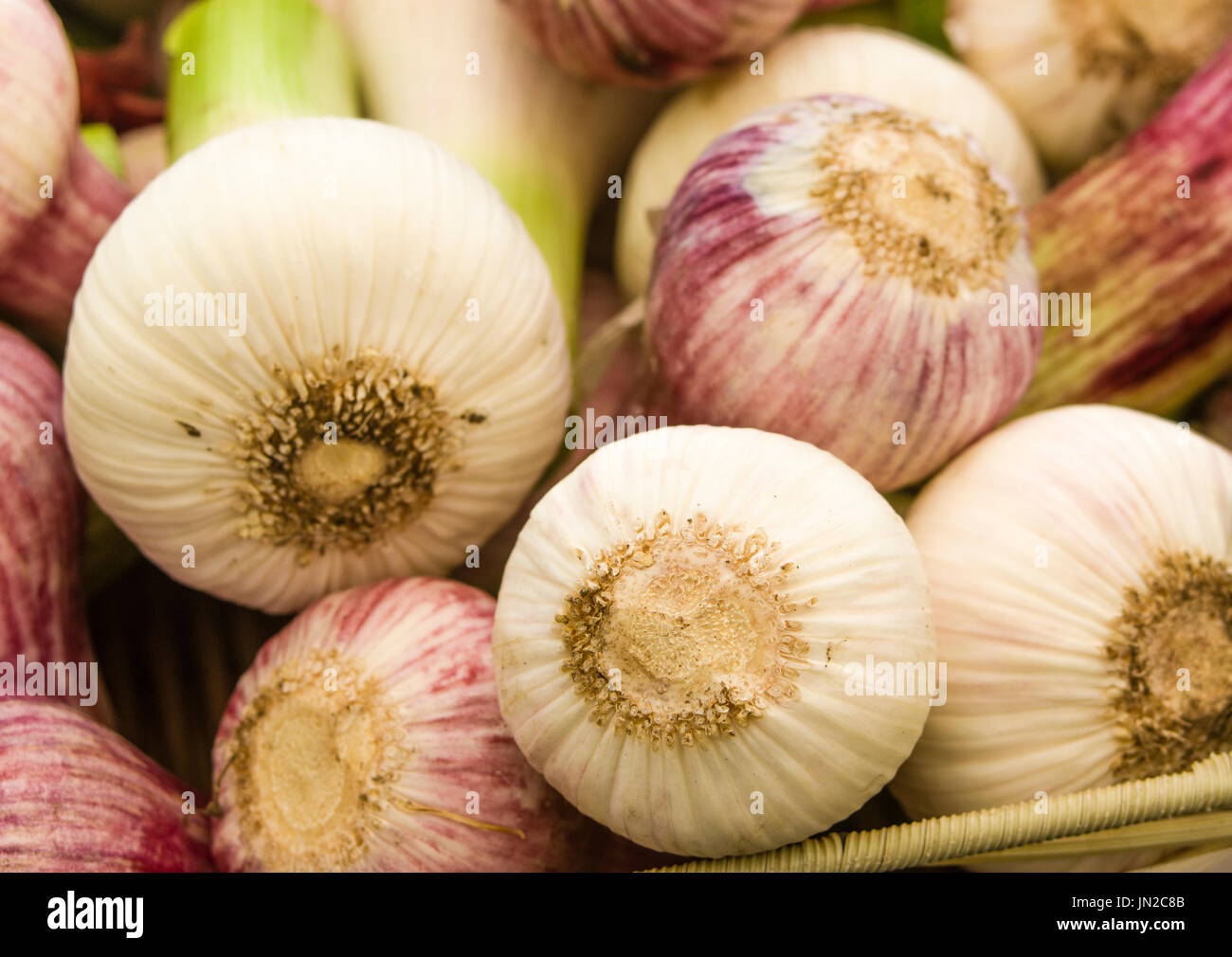 Herb and vegetable display hi-res stock photography and images - Alamy