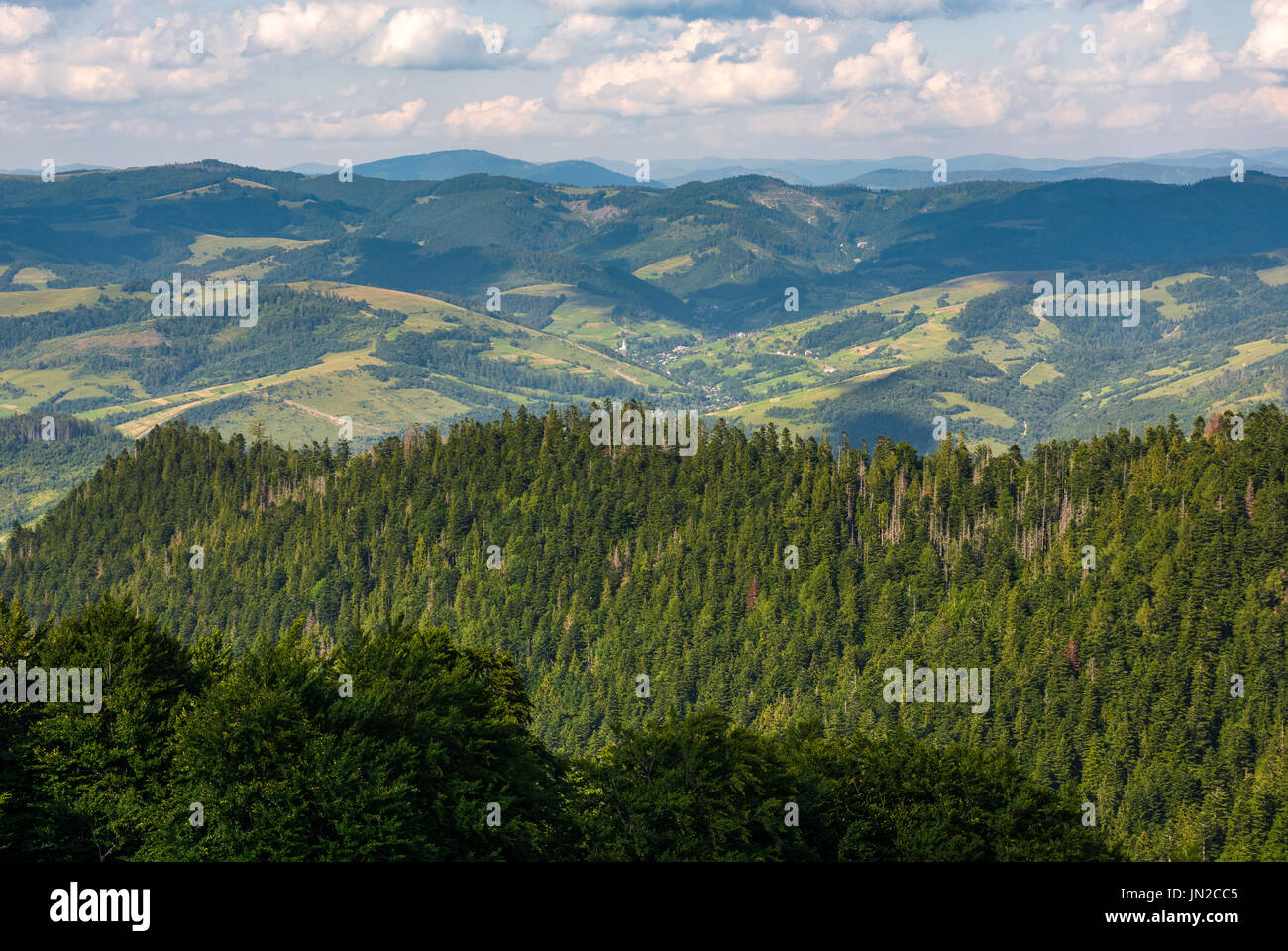 slope of mountain range with forest and on hillside. beautiful summer ...