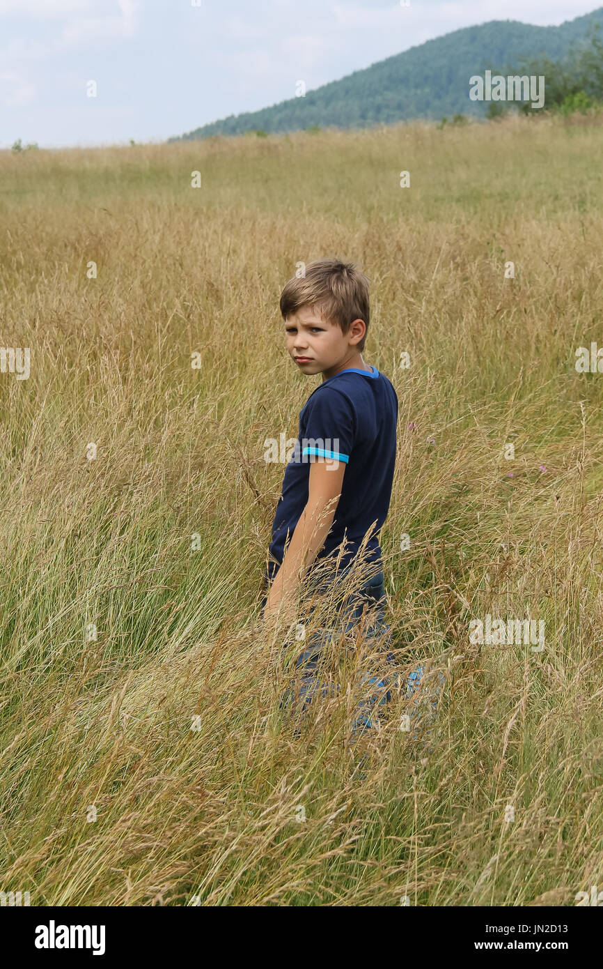 Handsome boy in summer meadow Stock Photo - Alamy