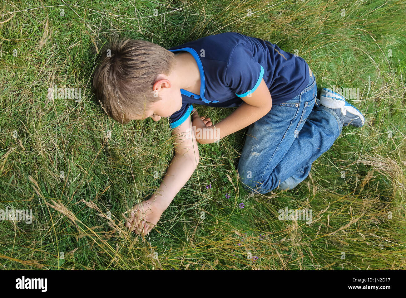 Handsome boy sleeping on meadow grass Stock Photo - Alamy