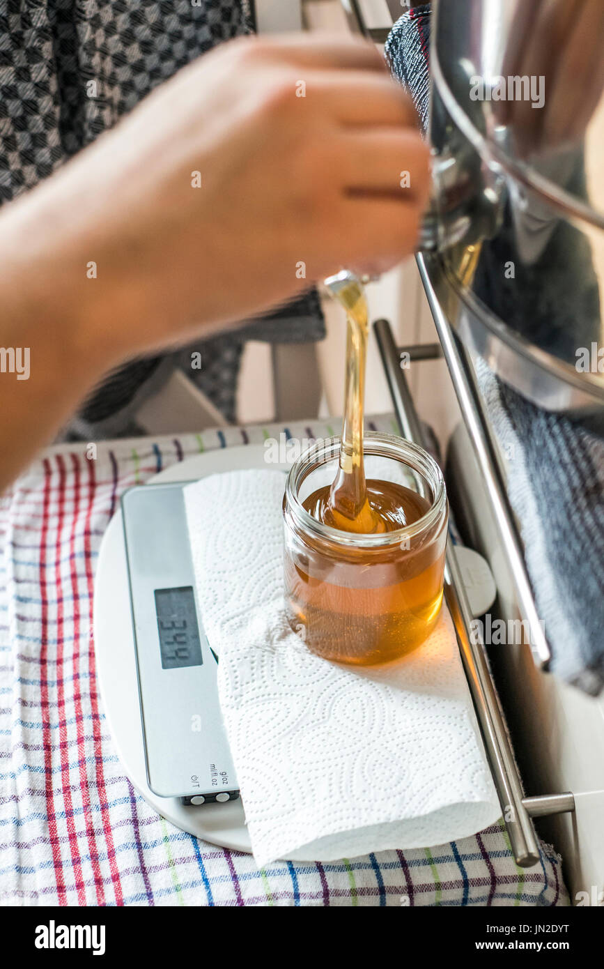 Beekeeper filling up the fresh new honey into glass jars on a scale ...