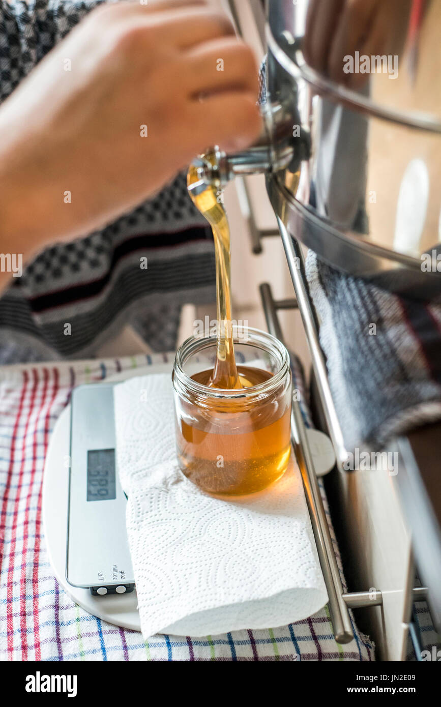 Beekeeper filling up the fresh new honey into glass jars on a scale ...