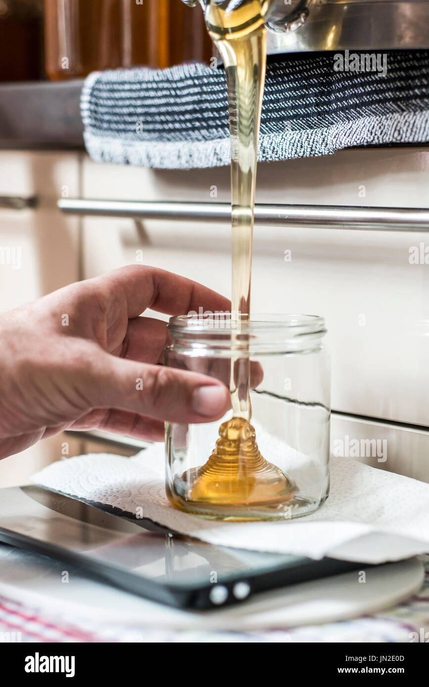 Beekeeper filling up the fresh new honey into glass jars on a scale ...