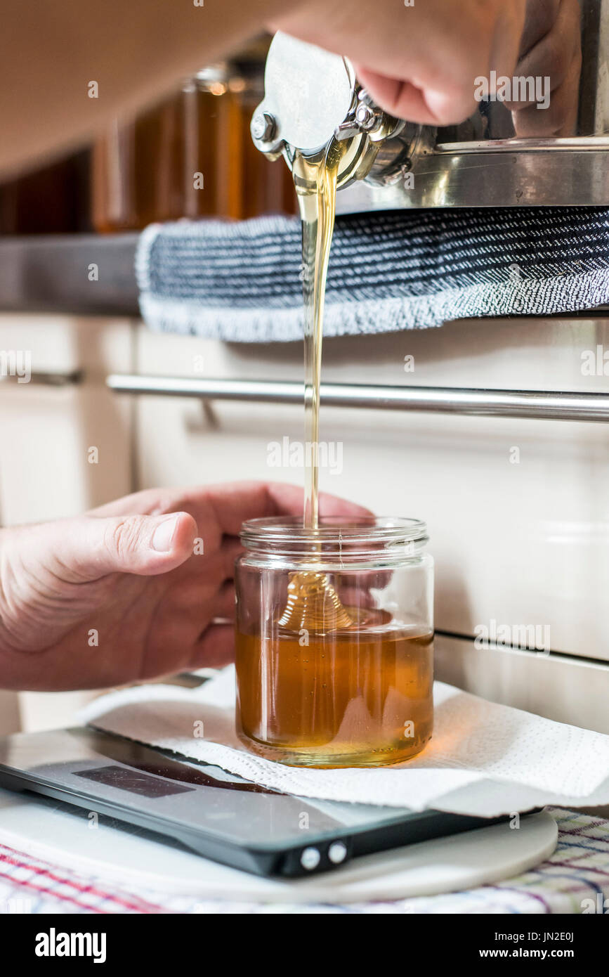 Beekeeper filling up the fresh new honey into glass jars on a scale ...