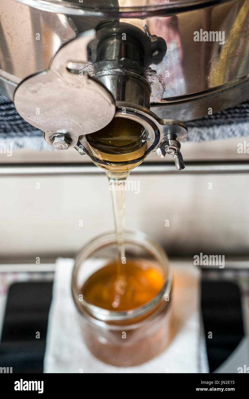 Beekeeper filling up the fresh new honey into glass jars on a scale ...