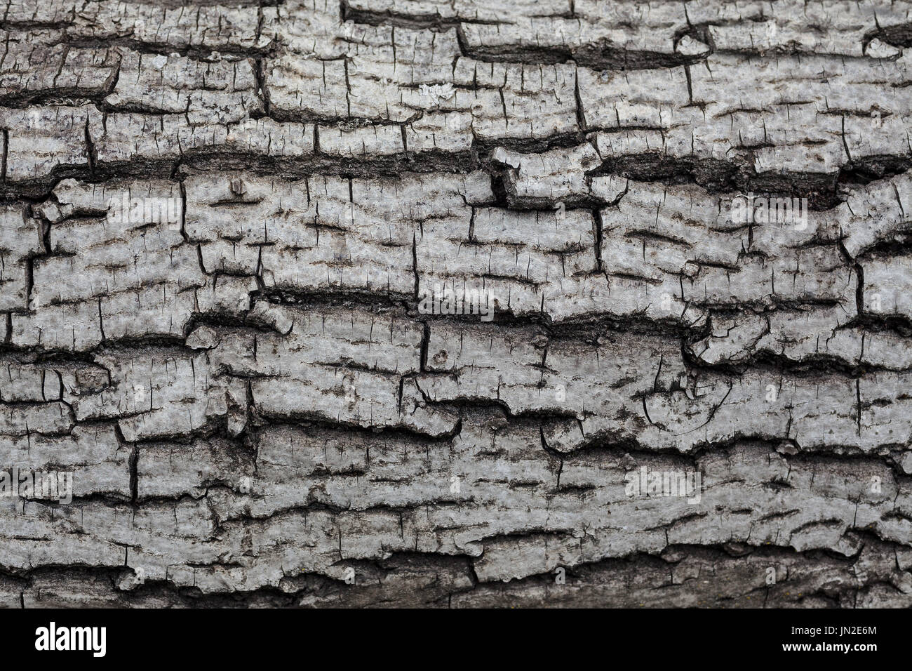 Wooden bark hi-res stock photography and images - Alamy