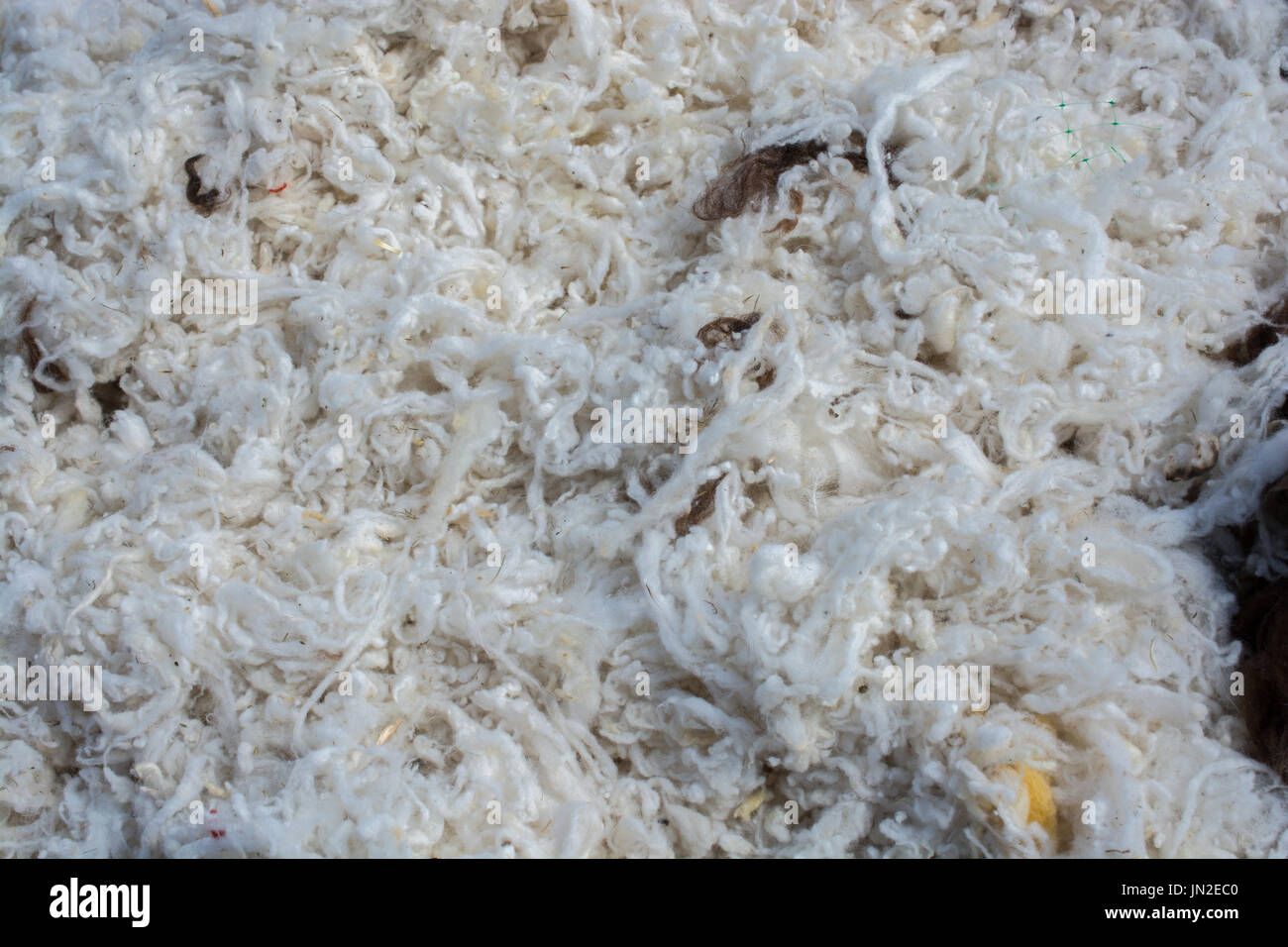 Heap of wool as a texture background Stock Photo - Alamy