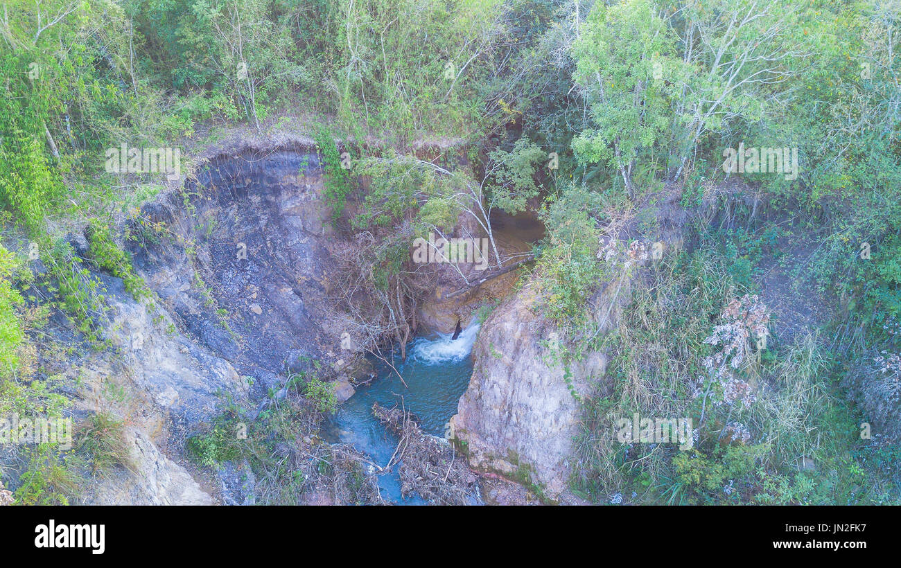 National tree of paraguay hi-res stock photography and images - Alamy