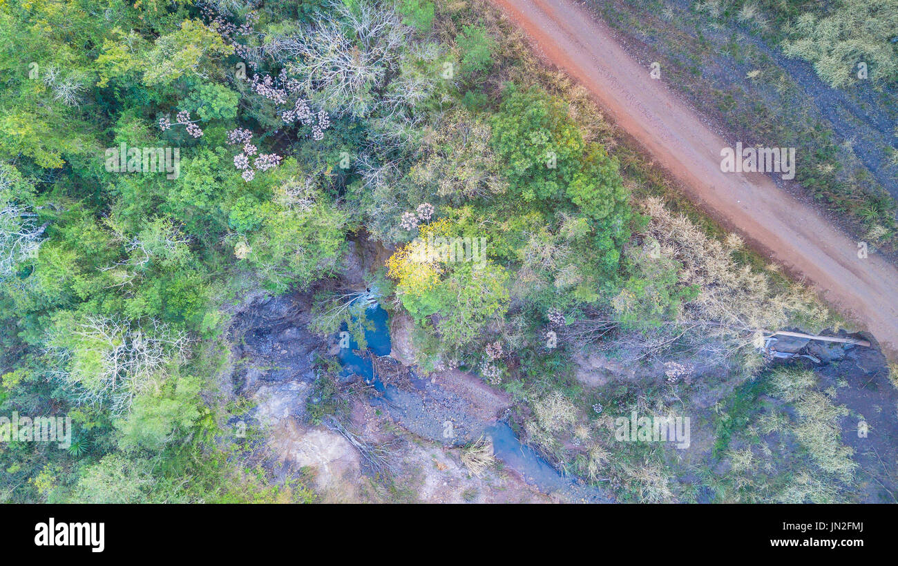 National tree of paraguay hi-res stock photography and images - Alamy