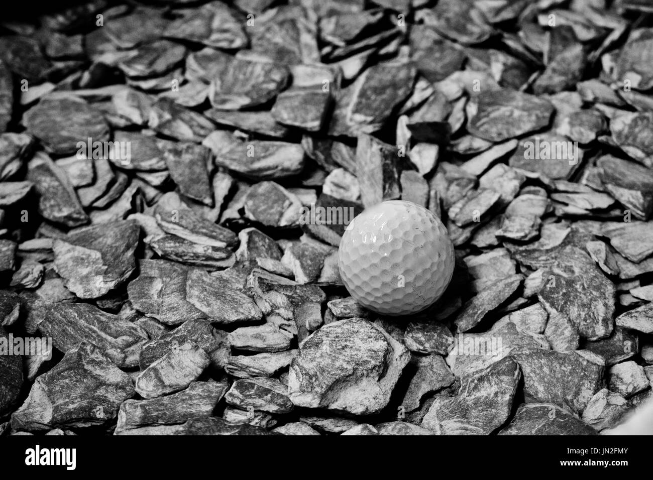 Gold club ball white background Black and White Stock Photos & Images ...